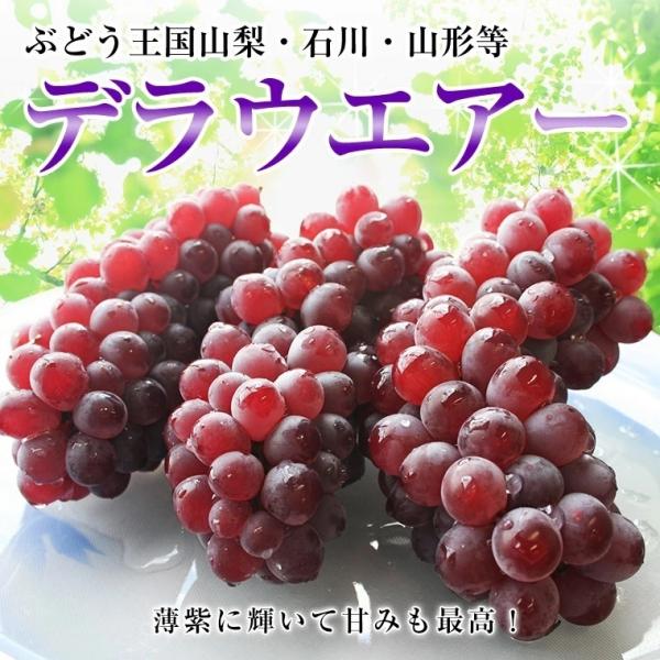 パクパク食べれるぶどうはおやつやデザートにピッタリです。