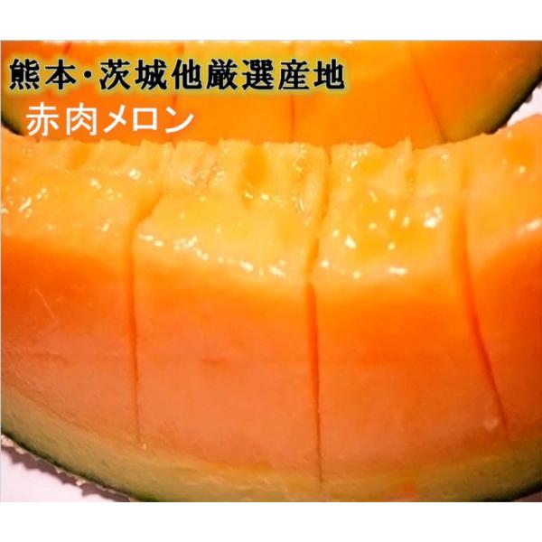 【トロ〜リ甘い果肉】 母の日・父の日・ギフト、プレゼント、贈り物、出産祝、快気祝、入学祝、就職祝、御挨拶、御中元、内祝、御祝、景品、等々、