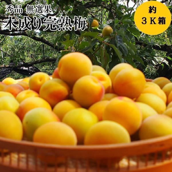 少し青めのものがありましたら２・３日追熟してお使いください。とれる場所によって完熟しないまま落下することがあるためです。秀品ですが選別していないのでサイズ指定はできません。申し訳ございません。