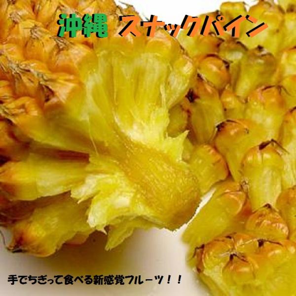 甘みがたっぷり酸味薄めです！ちぎって食べられる！沖縄 南国フルーツ スナックパイン パイナップル