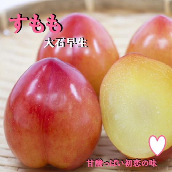【甘さと酸味のバランスが最高！！甘酸っぱい初恋の味？ 】プラム好きの貴方にプレゼント！甘酸っぱい美味しさが広がります