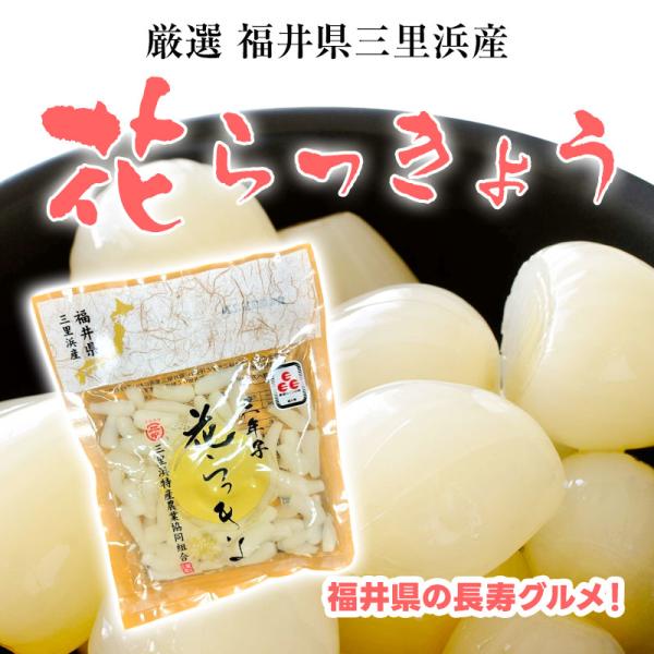 福井の【花ラッキョウ】全国唯一の【三年子】栽培形態です。厳しい冬を２回越し、収穫されるので、身が引き締まり、繊維も細かく、他県の物では味わえないソフトな食感ながら、シャキシャキの歯ごたえです。また、砂地で栽培されている為、色白で、美しいのが...