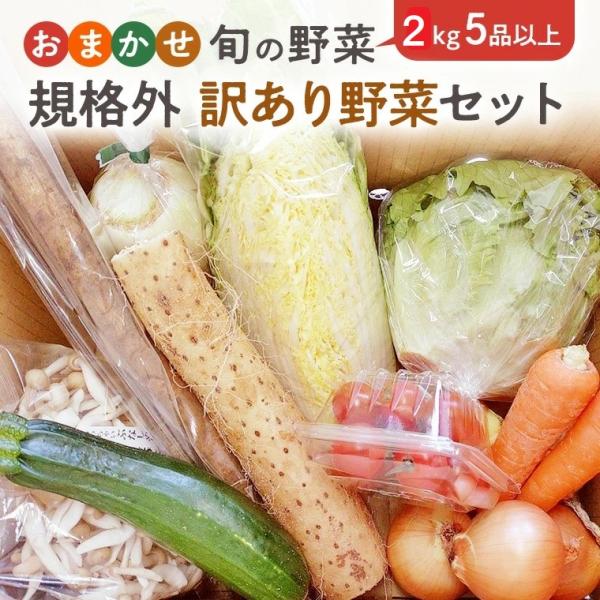 人参・長芋・さつまいも・里芋等訳あり旬野菜詰め合わせ