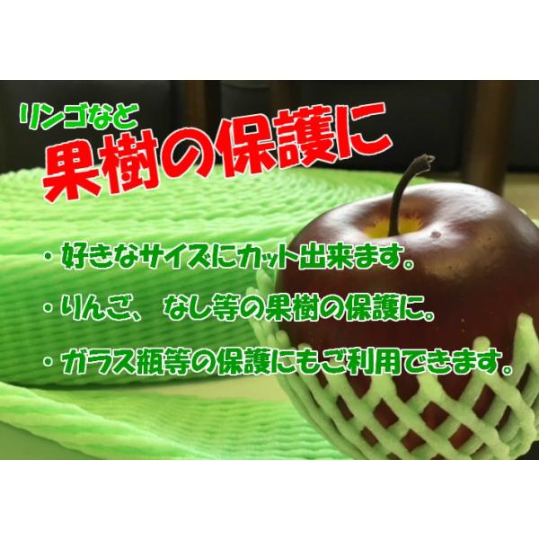 【信和】フルーツキャップ（緑）【ロール状】【20M巻】輸送中などによる振動や衝撃から果物を守り、採れたてのままお届けします。【規格】ロール状 20M巻【材質】ＰＳＰ（発泡ポリスチレン）【数量】1巻【使用例】・適当なサイズにカットしてご使用く...