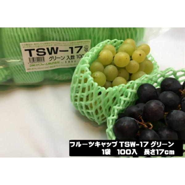 西瓜、新高、シャインマスカットなどのフルーツを優しく包み込みます。輸送中の振動や、衝撃から果物を守り、高級感を演出します。シャインマスカット600ｇが入ります。バイオ フルーツキャップ TSW-17 グリーン　緑 【ダブル】 17cm 【1...