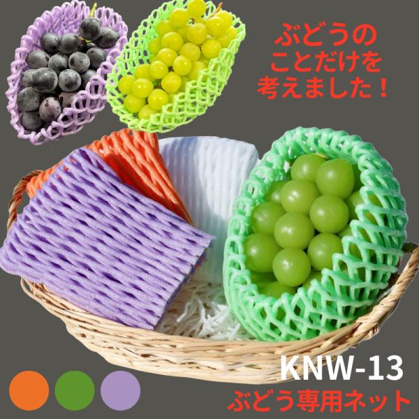 ぶどう向け フルーツキャップ KNW-13 ゴム無 グリーン オレンジ ムラサキ ダブル 13cm 【100個】 バイオプラスチック 果物 緩衝材 保護材 発泡 ネット マスカット シャインマスカット ぶどう 梨 キャップ フルーツ 網 輸...