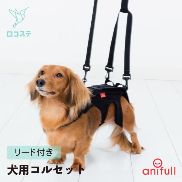 【商品特長】胴長ワンちゃんにオススメのソフトタイプコルセットです。背骨をはさみこむ弾力性のあるプレートを背中に内蔵する事で背骨への負担をサポートします。さらに後ろ足引き上げベルトの機能で、弱った下肢も同時にサポート。３点支持の付属の専用リー...