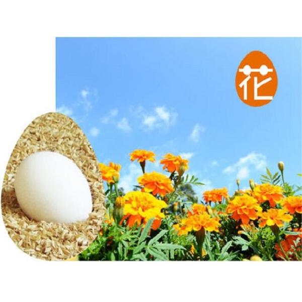 マリーゴールドの花を与えているので黄身が鮮やか。コクがあります。さらに、飼料に遺伝子組み換えでないトウモロコシ、大豆、高麗人参、EM（有効微生物群）を与えた、あぶくま高原の豊かな自然の中で育てられた健康な鶏が産んだ卵です。殻は白玉になります...