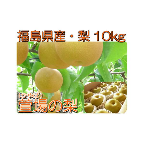 ◆梨:20世紀(福島市・萱場産)◆内容量:10kg箱(18〜36玉入)◆梨の生産量日本一の福島市。その中でも本当に数件しかない美味しい梨を作れる土地『かやば』の梨です。◆シャリシャリジューシーな梨の甘味をご堪能下さい♪◆発送時期: 9月上旬...