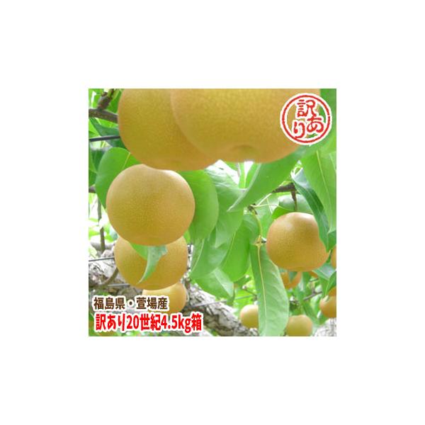 ◆梨:20世紀(福島市・萱場産)◆内容量:約4.5kg箱(8〜25玉入)◆梨の生産量日本一の福島市。その中でも本当に数件しかない美味しい梨を作れる土地『かやば』の梨です。◆シャリシャリジューシーな梨の甘味をご堪能下さい♪◆こちらは訳アリ品で...