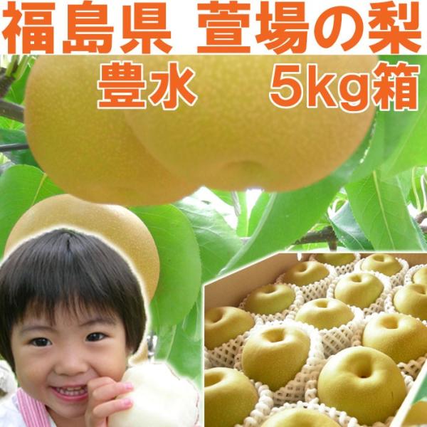 ◆梨:豊水(福島市・萱場産)◆内容量:5kg箱(9~18玉入)◆梨の生産量日本一の福島市。その中でも本当に数件しかない美味しい梨を作れる土地『かやば』の梨です。◆シャリシャリジューシーな梨の甘味をご堪能下さい♪◆発送時期:9月初旬頃〜9月下...