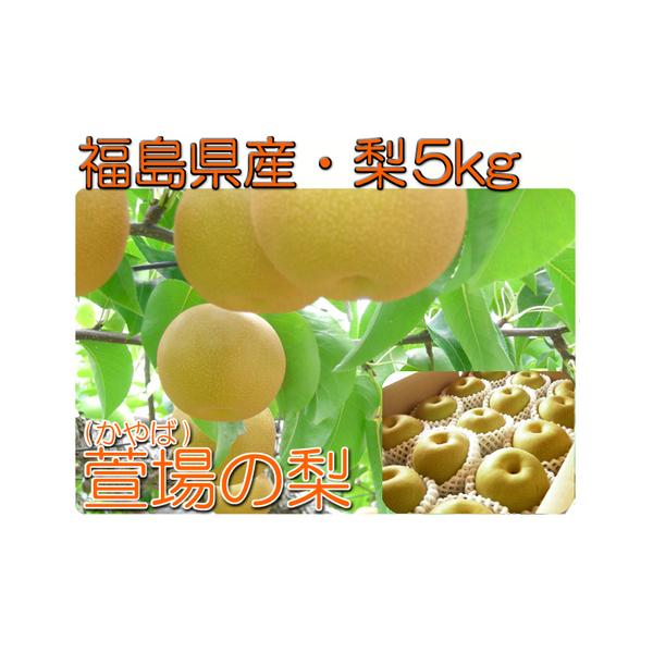 ◆梨:幸水(福島市・萱場産)◆内容量:5kg箱(9~18玉入)◆梨の生産量日本一の福島市。その中でも本当に数件しかない美味しい梨を作れる土地『かやば』の梨です。◆シャリシャリジューシーな梨の甘味をご堪能下さい♪◆発送時期:8月中旬頃〜8月下...