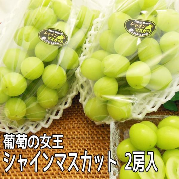 ◆品種:シャインマスカット◆産地:福島県伊達市・福島市・桑折町◆内容量:2房入 約1kg(1房約500g前後)◆到着後はなるべく早くお召し上がり下さい。◆果物王国福島の大地が産んだ種なしのシャインマスカットです。厳選された果実を丁寧に箱に入...