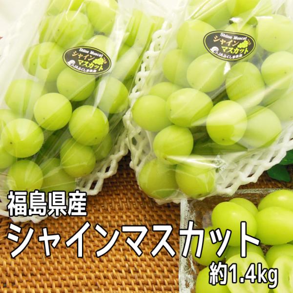 ◆品種:シャインマスカット◆産地:福島県伊達市・福島市・桑折町◆内容量:約1.4kg◆到着後はなるべく早くお召し上がり下さい。◆果物王国福島の大地が産んだ種なしのシャインマスカットです。厳選された果実を丁寧に箱に入れて発送いたします。濃厚で...