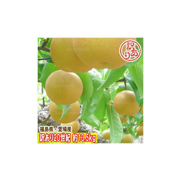 ◆梨:20世紀(福島市・萱場産)◆内容量:約13.5kg箱 9kg箱+4.5kg箱　(24〜75玉入)◆梨の生産量日本一の福島市。その中でも本当に数件しかない美味しい梨を作れる土地『かやば』の梨です。◆シャリシャリジューシーな梨の甘味をご堪...
