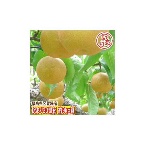 ◆梨:20世紀(福島市・萱場産)◆内容量:約9kg箱(16-50玉入)◆梨の生産量日本一の福島市。その中でも本当に数件しかない美味しい梨を作れる土地『かやば』の梨です。◆シャリシャリジューシーな梨の甘味をご堪能下さい♪◆こちらは訳アリ品です...