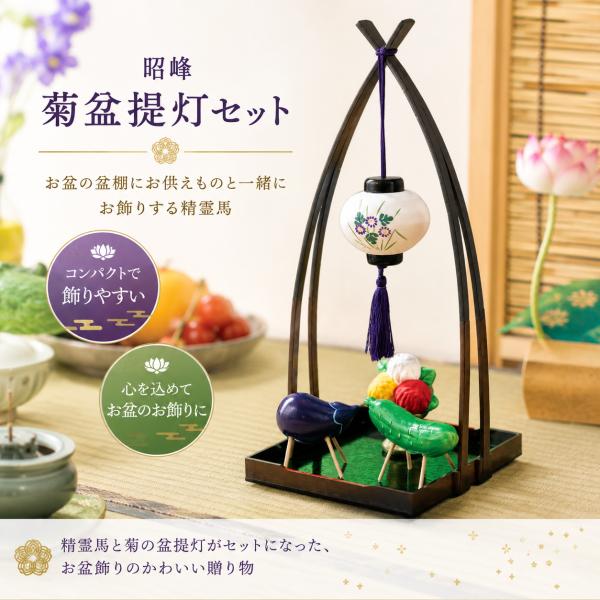 お盆の盆棚やお仏壇まわりに、お供え物と一緒にお飾りいただける「精霊馬（しょうりょううま）」と菊盆提灯のセットです。精霊馬は、ご先祖様をお迎えし、お送りするための乗り物として古くから親しまれているお盆飾りです。きゅうりの馬には「早く帰ってきて...