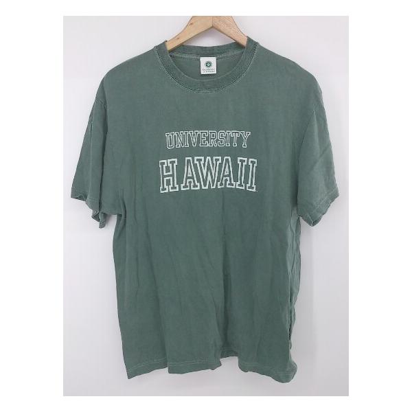 管理番号： 130725002213420250123ベースW170/石付属品： 無<br>デザインの可能もありますが、プリント部にかすれやヒビ割れあり。確実なものではありませんのでご了承ください。素材： 画像参照色： グリーン...