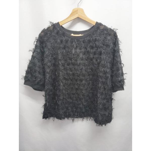 管理番号： 150723001073520250829ベースW/小付属品： 新品タグ <br>透け感のある商品です。素材： 画像参照色： ブラック系サイズ： サイズF梱包サイズ： 通常付属品： 新品タグ <br>透け...