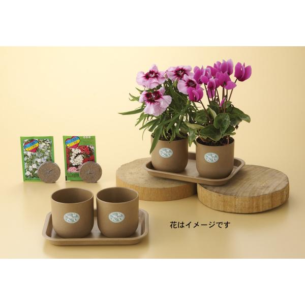 小鉢と受け皿に環境に優しいバイオマス樹脂を使用したエコ対応のガーデニングセットです。小鉢2Ｐと受け皿に種と培養土をそれぞれ２個セットし、すぐにガーデニングを楽しめるようになっています。化粧箱も再生紙使用です。本体サイズ；　W160 x D1...