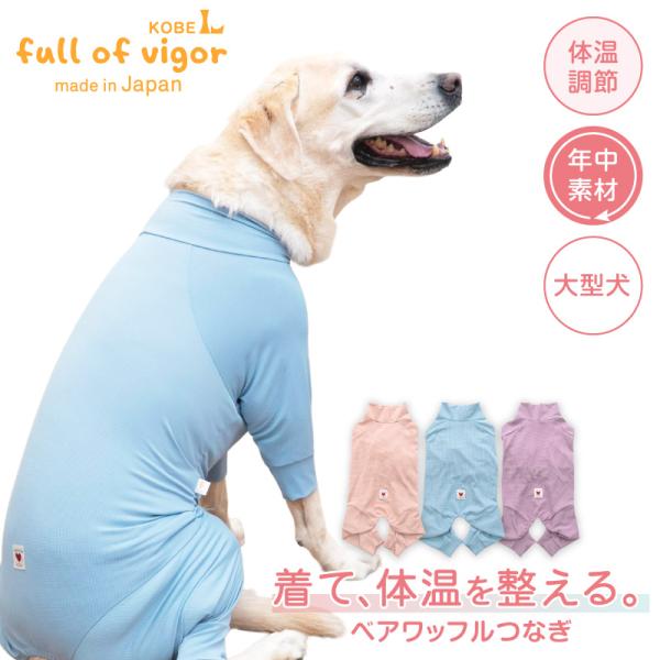 暑すぎず、寒すぎず。ちょうどいいって、やさしい。周囲の気温に合わせて熱をためたり逃がしたりすることで、体温を快適な範囲に保ってくれます。ぽっちゃり体型でもしっかりフィット。驚くほど伸縮性が高く、体にやさしく寄り添います。締めつけ感がなく快適...