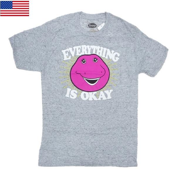 アメリカ直輸入！「Barney &amp; Friends（バーニー＆フレンズ）」の公式ライセンスTシャツが入荷しました。フロントにはおなじみのバーニーと“EVERYTHING IS OKAY（きっとうまくいくよ）”のポジティブメッセージプ...