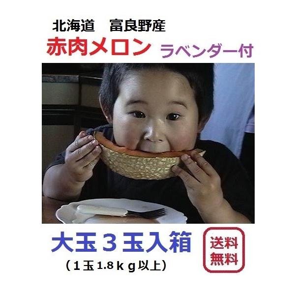 【発売日：2026年06月30日】【安全・安心の農家直送】本州の立茎栽培と異なり広い面積を活かした栽培をしており広く深く根を張り大きくて甘いメロンが育ちます。生産者自身が栽培から発送を手がけております。【ラベンダー・説明カード付き】箱には召...