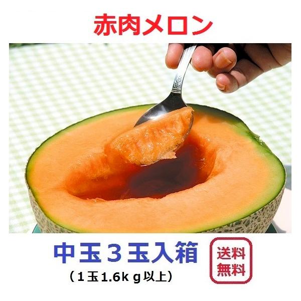 【発売日：2026年06月30日】【安全・安心の農家直送】本州の立茎栽培と異なり広い面積を活かした栽培をしており広く深く根を張り大きくて甘いメロンが育ちます。生産者自身が栽培から発送を手がけております。【説明カード付き】箱には召し上がり方を...