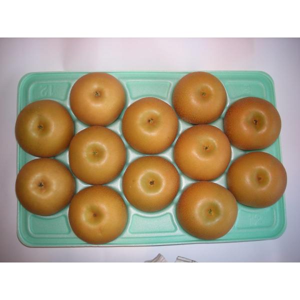 【発売日：2026年09月15日】有機リン系農薬を不使用でミツバチや環訪花昆虫に優しく有機肥料、バイオ炭など使用や草勢栽培でで持続可能な栽培を実践丸く扁平な形の良い梨です。僅かな酸味と程よい食感と甘さが上品の風味を味わせてくれます。お尻に青...