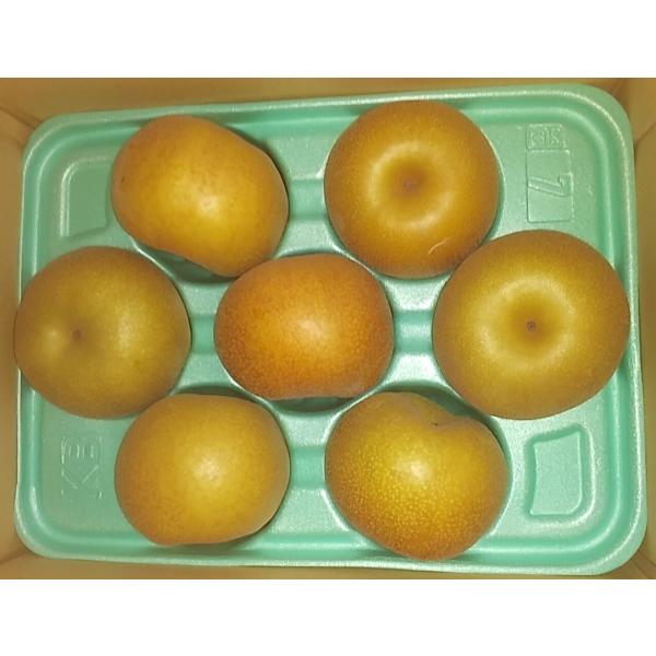 【発売日：2026年08月01日】幸水より早く収穫され、甘くしっかりした食感の果実で一度は食べてほしい希少な高級甘ひびき梨収穫色が赤くなるにつれ、急激に糖度が上がりますから収穫時期の見極めが難しい糖度重視で収獲してます。　