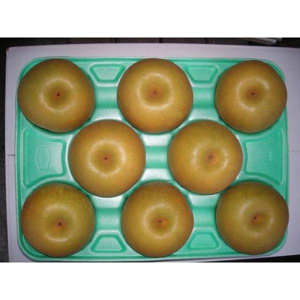 【発売日：2026年08月05日】有機リン系農薬を不使用でミツバチや環訪花昆虫に優しく有機肥料、バイオ炭など使用や草勢栽培でで持続可能な栽培を実践糖度が高い果実の為、光合成能力が高い短果枝葉へ着果させ旨味はアスパラギン酸、プロリンなどアミノ...