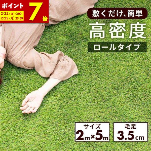 ■サイズ幅2x5m■梱包サイズ22x22x202cm■仕様[芝部分]ポリエチレン、ポリプロピレン[土台]ポリプロピレン、ラテックス■保証期間商品お届け日から1年間【ご購入前の注意事項】・ご利用のモニター環境により実際の色と異なる場合がござい...