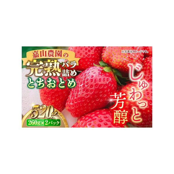 ■ 容量　バラ詰めいちご 260g×2パック　※いちご1粒ごとのサイズは異なるため、パックごとのグラム数に若干のずれがある場合がございます。　※大きさの異なるいちごになります。　　【原料原産地】　神奈川県横須賀市■ 配送について　ご入金確認...