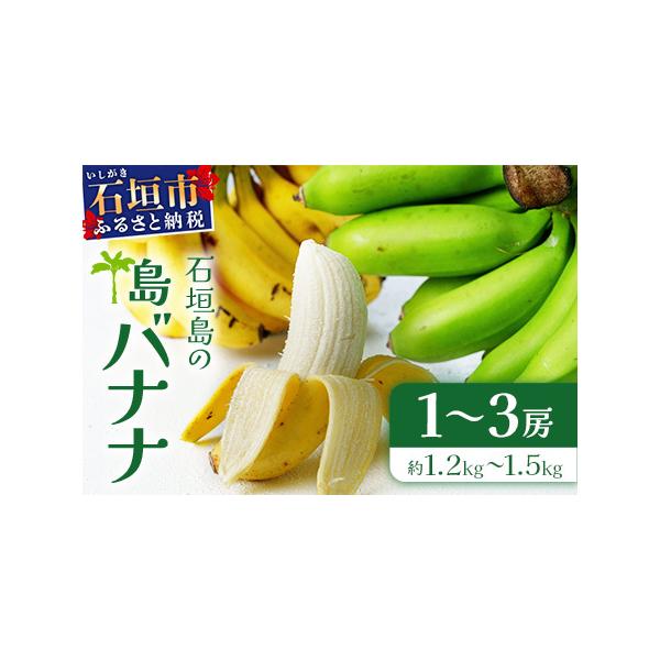 ■ 容量　石垣島産・島バナナ（小笠原種）、1〜3房（約1,2〜1,5kg前後入り）　箱・梱包材込重量・約2kg　　【賞味期限】到着より常温で7日以内、季節・気温によって熟度は変化します。　タイプ：【常温】