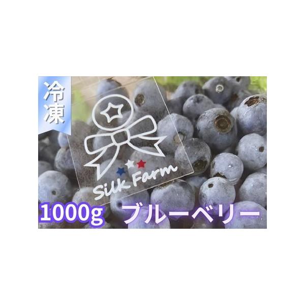 ■ 容量　冷凍ブルーベリー1000g（500g×2パック）■ 配送について　入金確認後、２〜４週間で発送予定。　※年末年始、GW等の長期連休時は発送が遅れる場合がございますのでご了承の上、お申込みください。　※長期ご不在の予定がございました...