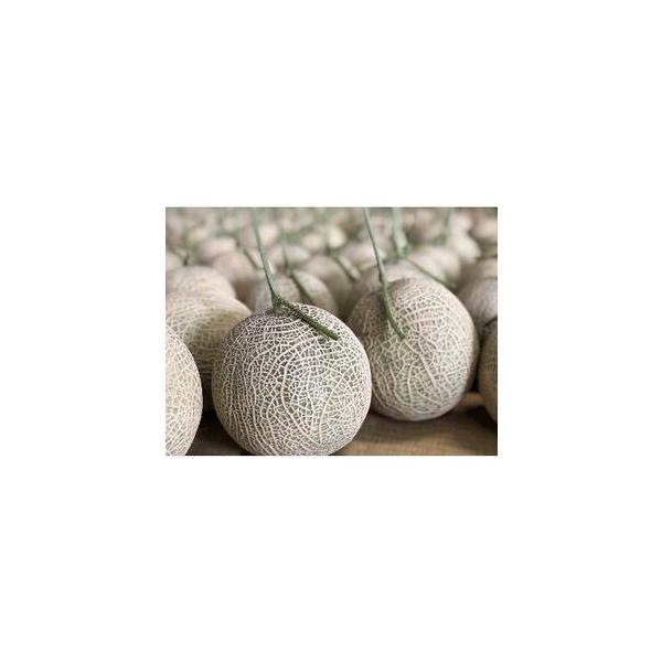 ■ 容量　※上記に記載■ 配送について　2026-06-25〜2026-07-04　タイプ：【常温】