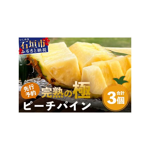 ■ 容量　パイナップル3個入り　合計約2.7kg　(自然の物なので大きさや重さは前後する可能性があります)　　■賞味期限■　お手元に到着後、冷蔵保存で約１週間程度　※パイナップルは追熟しないため、到着後お早めにお召し上がりください。■ 配送...