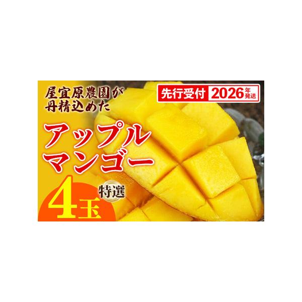 ■ 容量　完熟アップルマンゴー特選４玉　※玉数指定はできません。■ 配送について　2026年6月下旬〜7月末頃を予定　タイプ：【冷蔵】