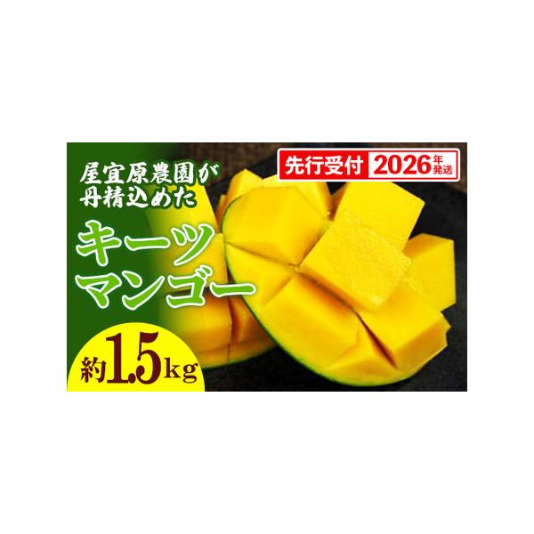 ■ 容量　キーツマンゴー約1.5kg（2〜3玉）　※玉数指定はできません。■ 配送について　2026年8月上旬〜8月末頃を予定　タイプ：【常温】