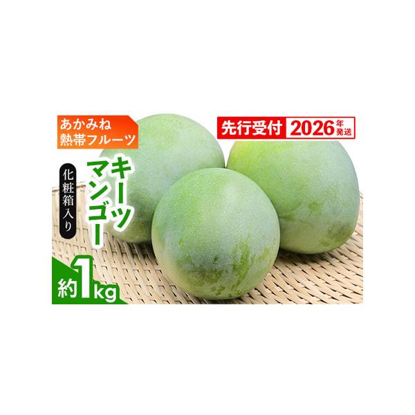 ■ 容量　キーツマンゴー約1kg（1〜2個)(化粧箱入)　※玉数の指定はできません。　　アレルギー：ウルシ科■ 配送について　2026年8月中を予定　タイプ：【常温】