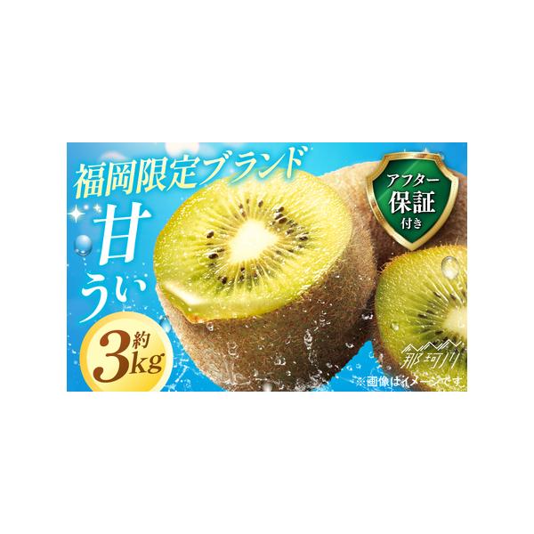 ■ 容量　約3.0kg　　※生育状況によって内容量が前後する場合がございます。　記載内容は目安となりますので予めご了承ください。■ 配送について　2026年11月以降発送　※収穫状況により前後する場合がございます。　　　【必ずご確認ください...