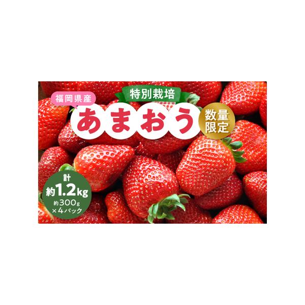 ■ 容量　※上記に記載■ 配送について　2025-12-01〜2026-04-30　※年末年始は発送までにお時間をいただく場合がございます　タイプ：【冷蔵】