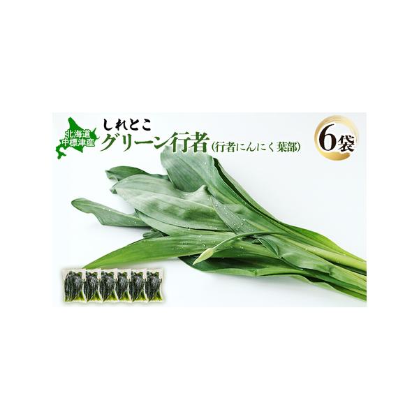 ■ 容量　北海道中標津産 しれとこ グリーン行者（行者にんにく葉部）6袋■ 配送について　入金確認後、準備ができ次第随時発送いたします。　タイプ：【冷凍】