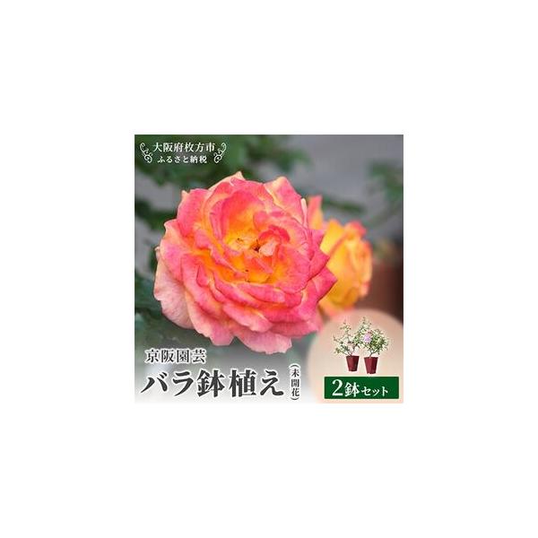 ■ 容量　※上記に記載■ 配送について　お申し込み後、1週間程度で順次発送予定　タイプ：【常温】