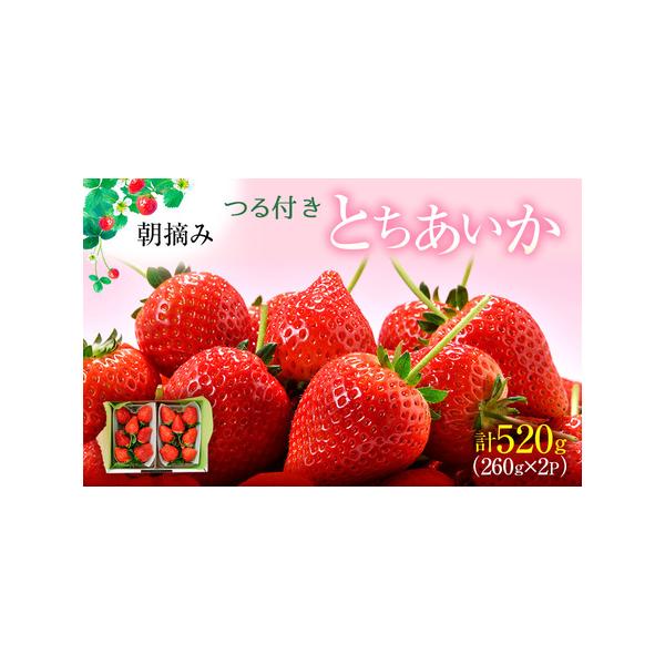 ■ 容量　とちあいか260g以上/パック×２、段ボール箱入り、原産地:栃木県鹿沼市　■ 配送について　2026年3月上旬〜5月中旬頃　タイプ：【冷蔵】
