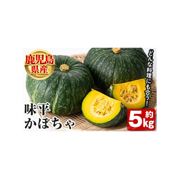 ■ 容量　鹿児島県産 味平かぼちゃ：約5kg■ 配送について　2026年5月上旬以降順次発送予定　※青果のため、育成状況により発送が前後する場合がございます。　タイプ：【常温】