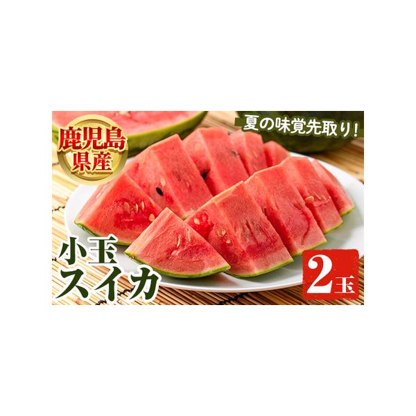■ 容量　鹿児島県産 小玉スイカ：2玉■ 配送について　2026年5月下旬以降順次発送予定　※青果のため、育成状況により発送が前後する場合がございます。　タイプ：【常温】