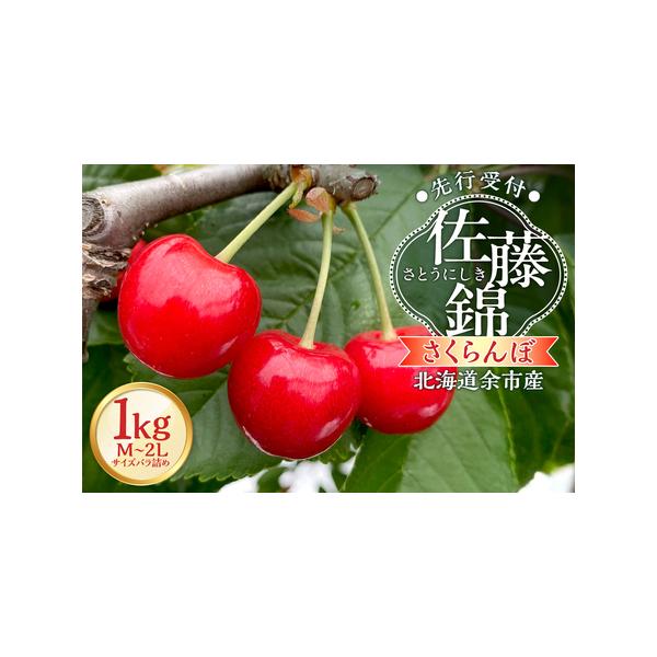 ■ 容量　さくらんぼ「佐藤錦」（M〜2Lサイズバラ詰め）500g×2パックを段ボール１箱に梱包して冷蔵便にてお送りいたします。　　■ 配送について　2026年6月下旬頃〜7月中旬頃　※天候により前後する場合がございます。　タイプ：【冷蔵】