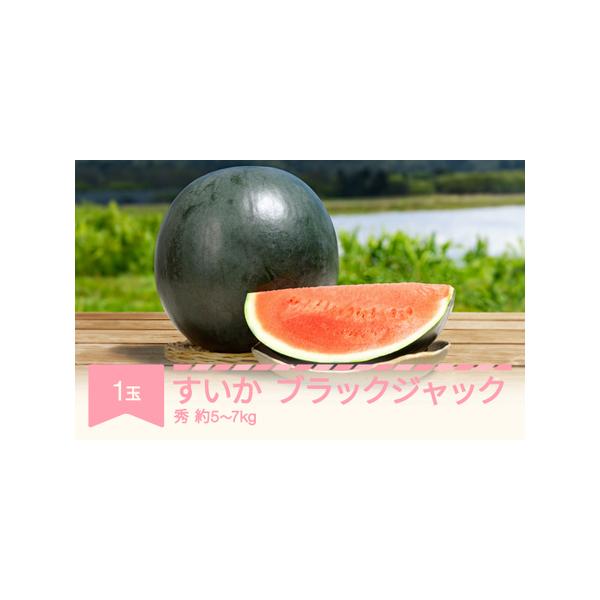 ■ 容量　1玉(5~7kg)・秀品■ 配送について　7月下旬~8月中旬頃　※生育の状況により多少前後することがあります　タイプ：【常温】