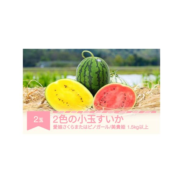 ■ 容量　2玉(各1.5kg)・秀品■ 配送について　7月中旬~7月下旬頃　※生育の状況により多少前後することがあります　タイプ：【常温】